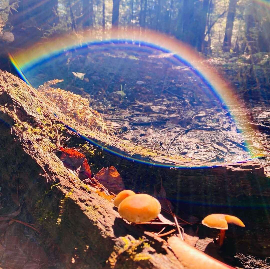 Anna DiNenna at Swallow Falls | Deep Creek Times