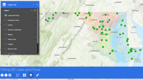 Maryland Fishing Regulations | Deep Creek Times