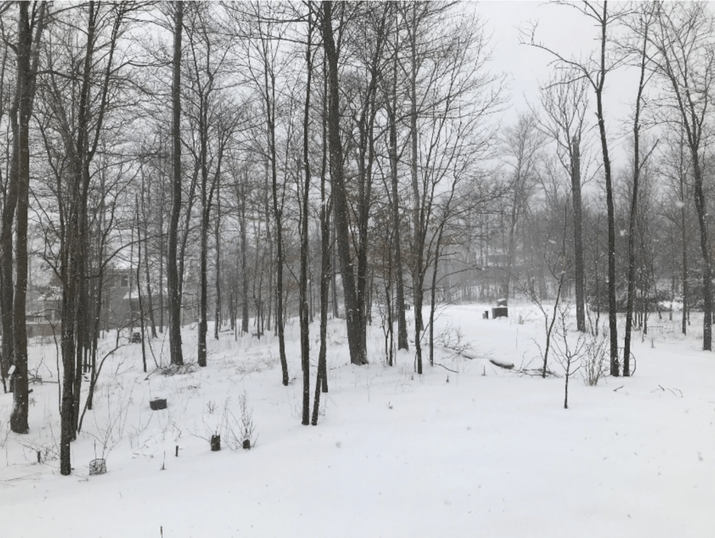Mike’s Backyard on First Day of Spring | Deep Creek Times