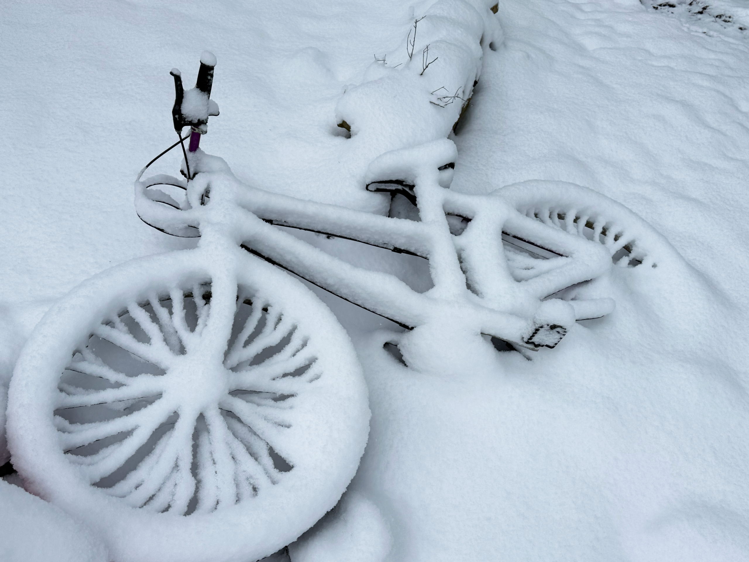 Garrett County 2025-2026 Season Snow Report | Deep Creek Times