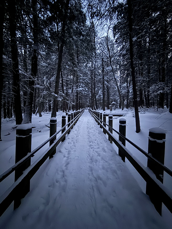 Garrett County 2025-2026 Season Snow Report | Deep Creek Times