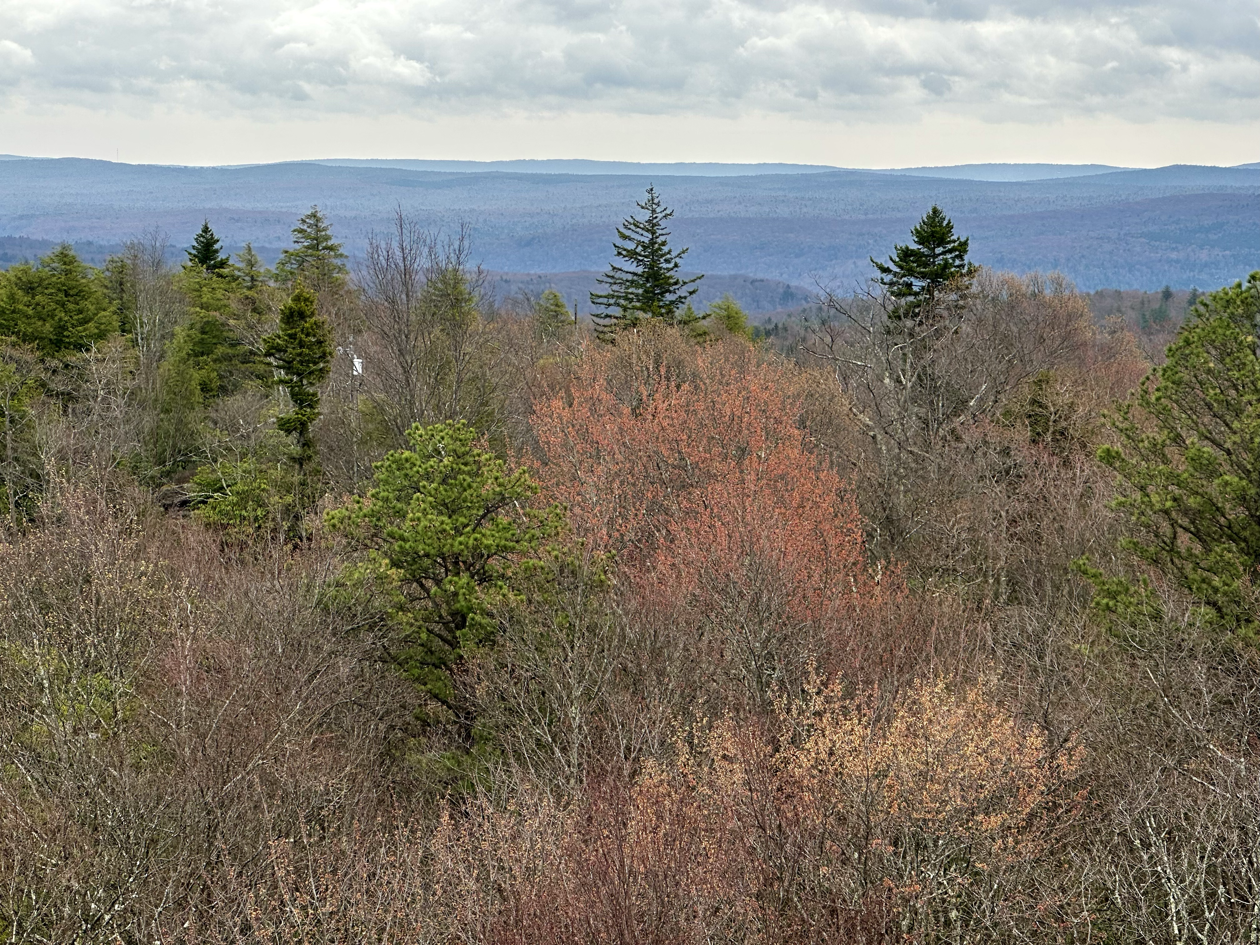 “Up to the Bottom Bracket” Ride from Olson Fire Tower | Deep Creek Times